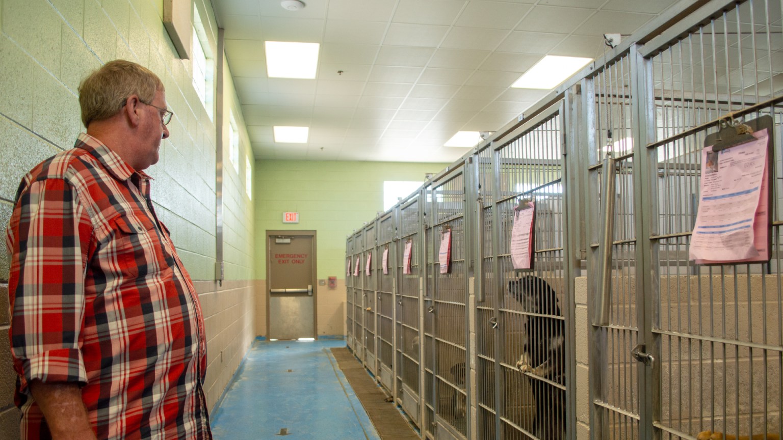 If you're frustrated waiting to drop off a stray animal at Lubbock's ...